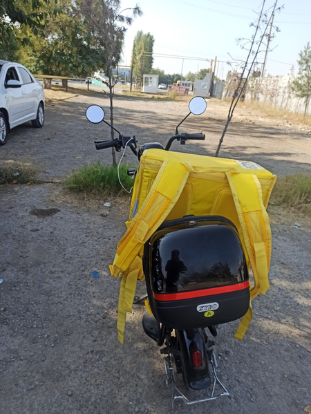 Skutr xolati zur