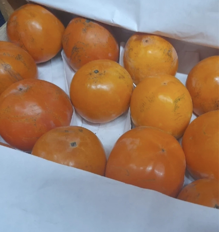 Срочно продам оптом хурму сорта Королёк