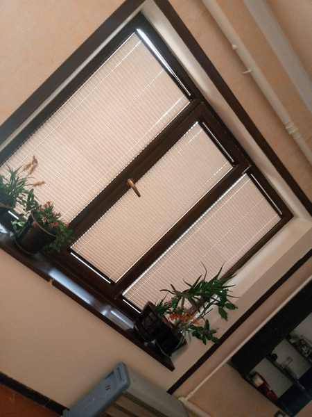 Jalyuzi Jaluzi Jalyuzi