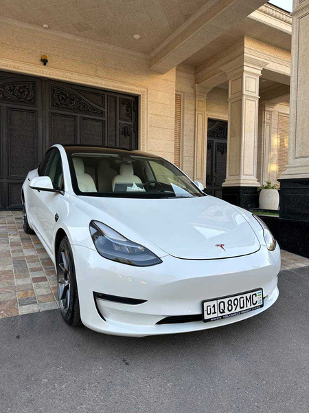 Tesla model 3 Dual motor Long Range 2022 Amerika