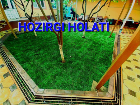 Gazon ekish o’rish lanshaft sgu qatori barcha xizmatlar