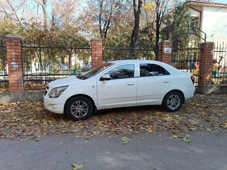 Cobalt 2022 oq kraska toza