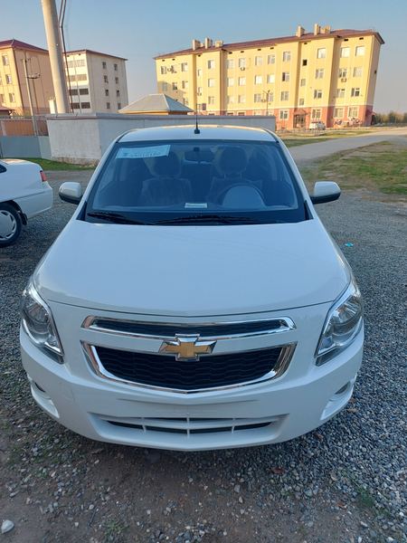Cobalt 2025 pachka