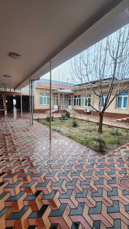 Archa kochada 4 sotix uchaska sotiladi