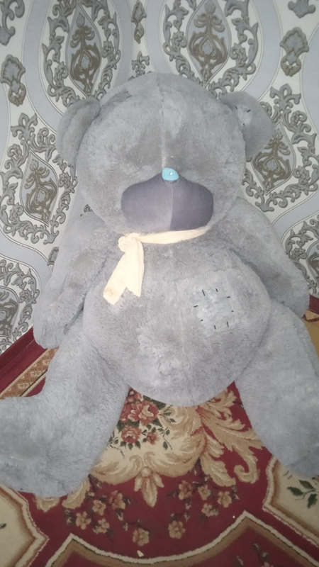 Teddi ayiq kattasi