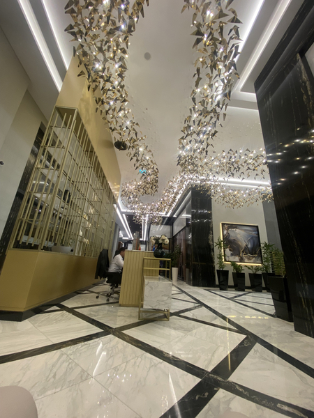 Nest one аренда