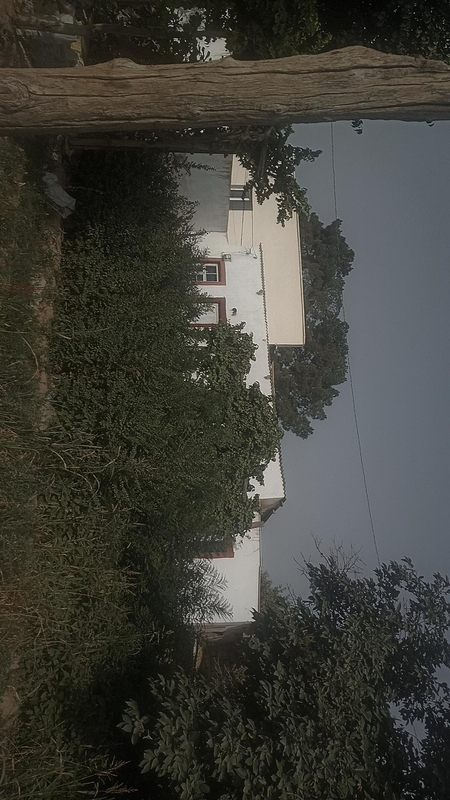 Termez shaxar manguzar 6 sotiq 2 hona hovli sotiladi