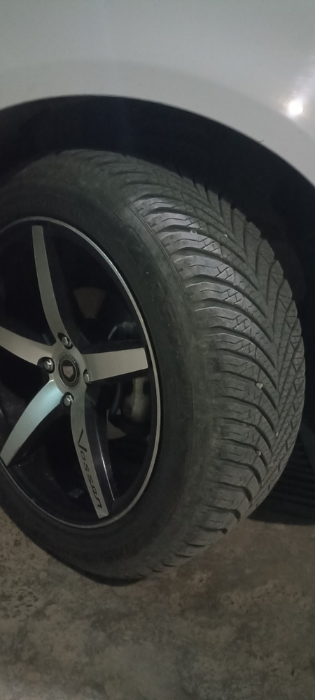 Saka diska 17 vossen
