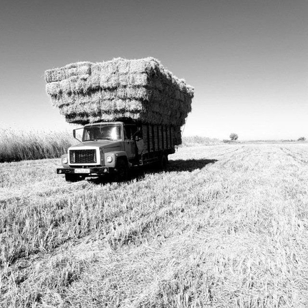Gaz 53 bortli tentli