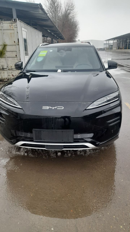 Byd song L 2024.