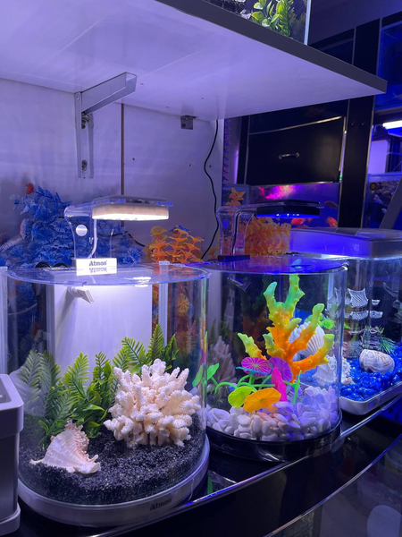 Mini akvarium Atmen 10litrli