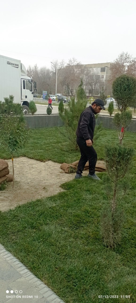 Gazon ekish xizmati