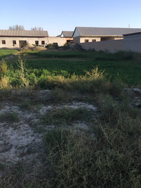 Uy joy uchun uchaska yer sotiladi Samarqant viloyati Kattaqurgon