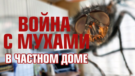 Dezinfeksiya Dezenfeksiya Дезинфекция дезинсекция