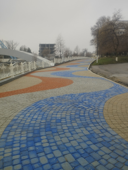Бурусчатка вибра присовни