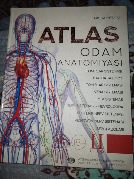 Odam Anatomiyasi