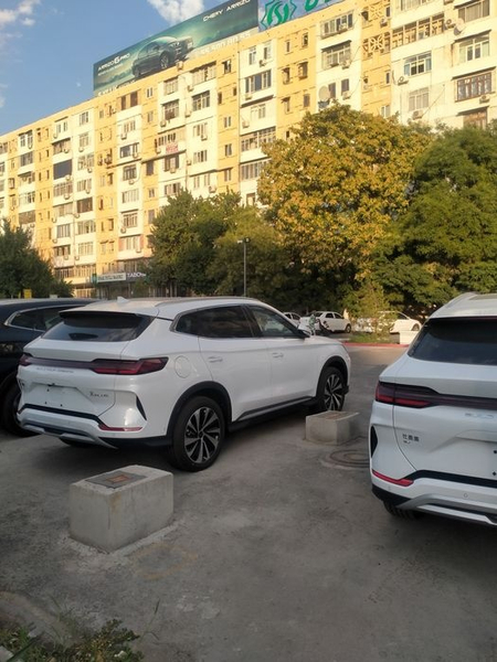 BYD. CHimpyon  фақат варяантга