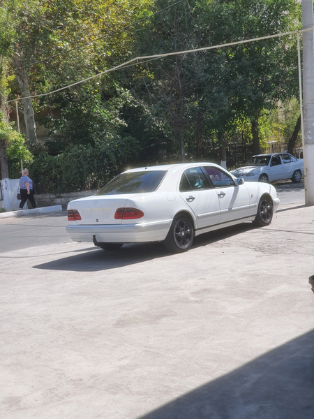 W 210 holati zòr