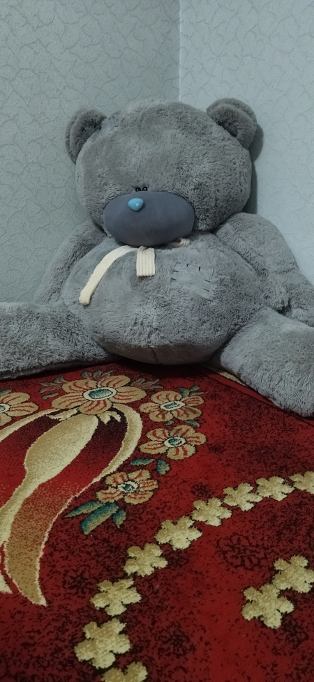 Teddy Айик сотилади !