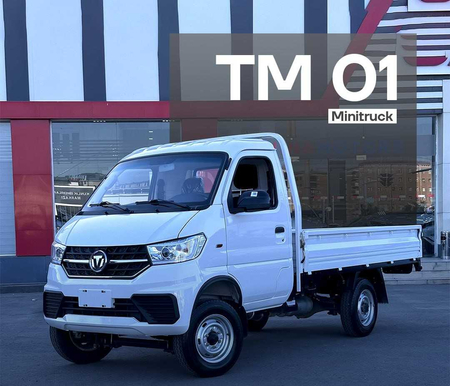 TM Minitruck 1.5 tonn