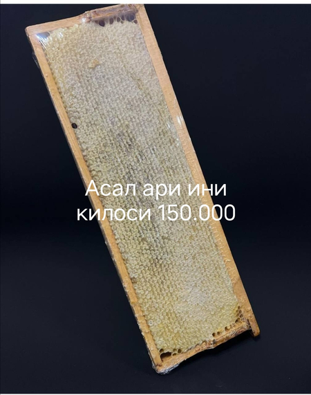 Асал Ари сути ва Табиий асал