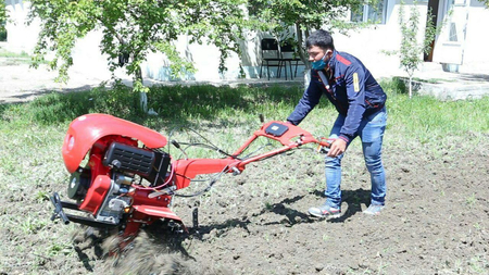 Xovli va boglarni yovoyi otlarni orib yer xaydash xizmati