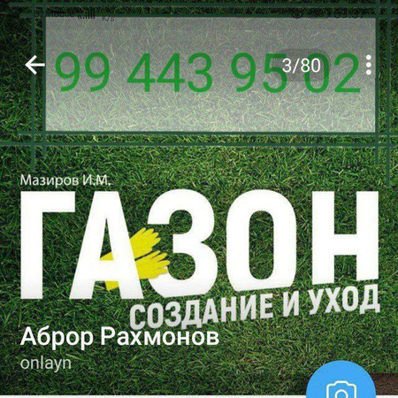 Gazon ekish, Palif qilish Lanshaft