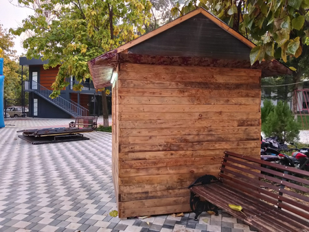 2 Ta butka sotiladi Narxi  kelishamiz