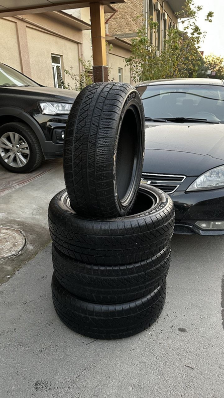 Зимний балон BYD Song Champion