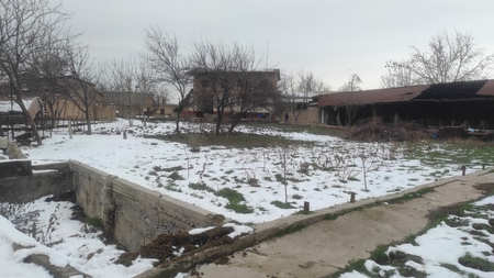 Чингельды Срочно продам дом участок