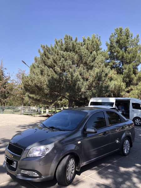 Nexia 3 LT sostoyaniy zur