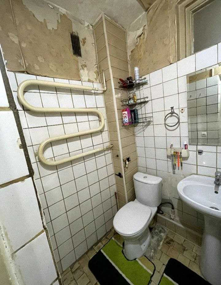 Саракулька   .1/2/4.  кирпич.   43 КВ.м