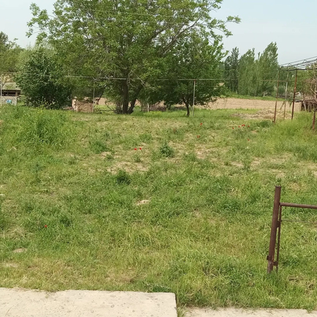 Ui sotladi 43 sotik sotigi 1000 dolrdan kelshamiz
