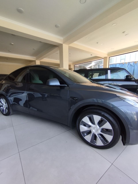 Tesla model Y. Amerika.