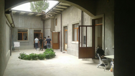 Toshken tumani koʻk terak