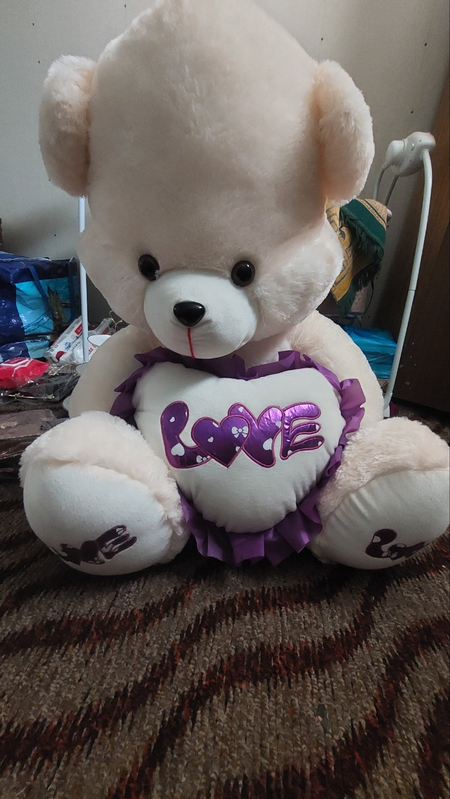 Teddiy ayiqchalari