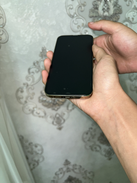 Iphone 13 pro max 256gb ideal