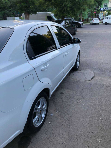 nexia oq 3 2020 neksia