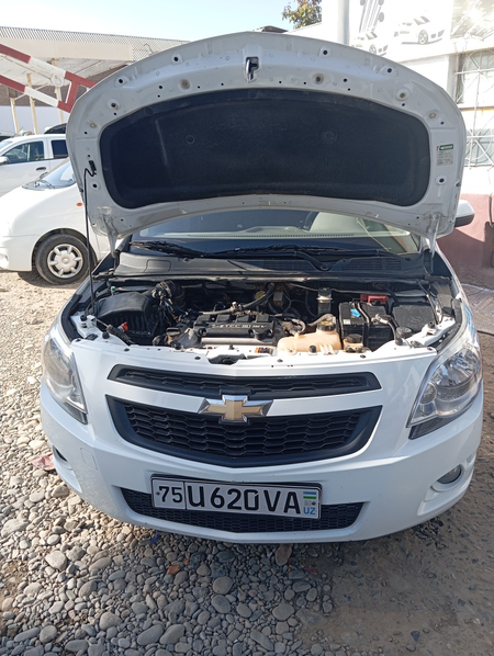 Kobilt kafolati bilan