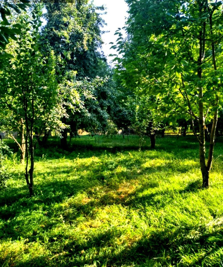 Продается участок 80 сотка в горный природе