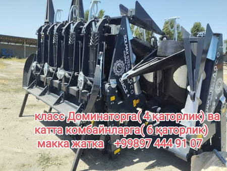 Маккажухори жаткаси