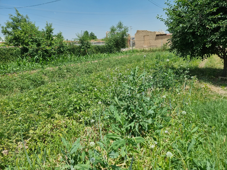 Продам дом участок 18 соток
