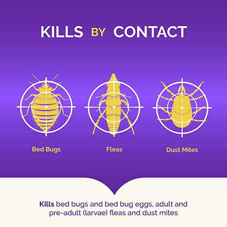 Супер средство от клопов мощный Hot Shot Bed Bug Killer Dust