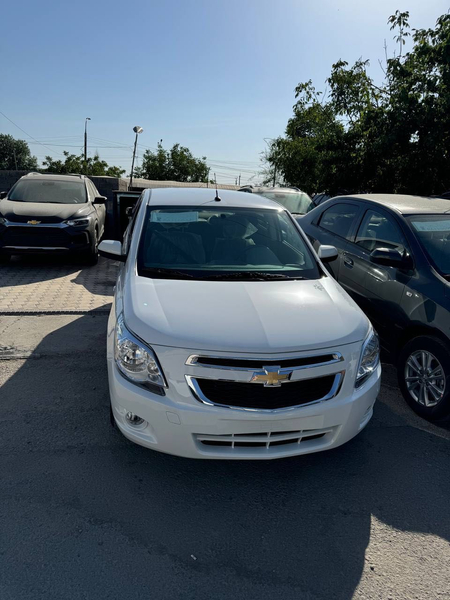 Cobalt Stayl plus 2024