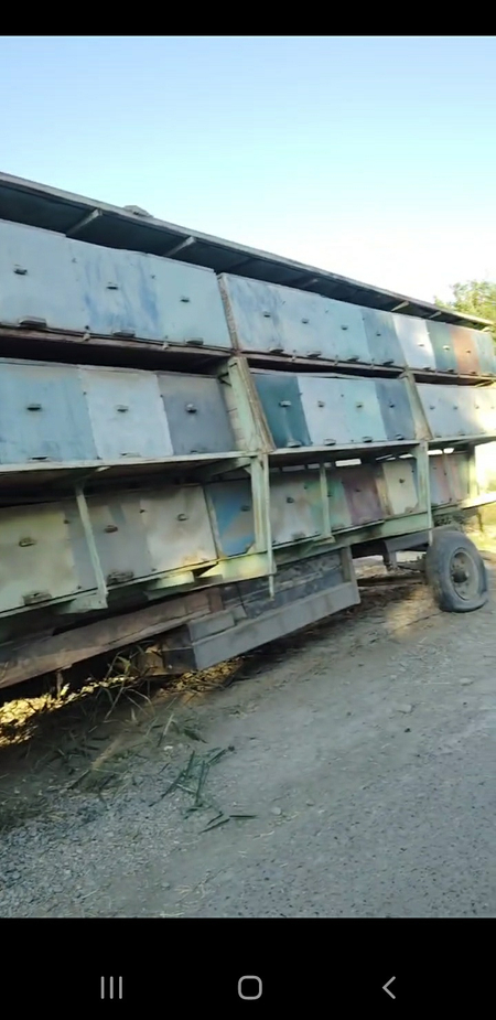 Asal arilar uchun Pavilion  sotiladi narxi kelishiladi