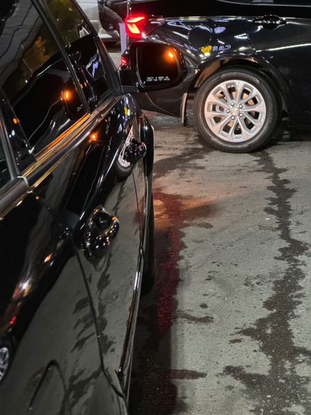 Chevrolet Jentra