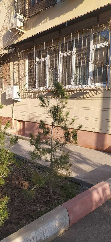 продается 3/1/4. кв. с отличным ремонтом, 77-серия