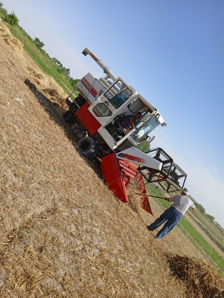 Qambayin yaponiski yanmar ca 600