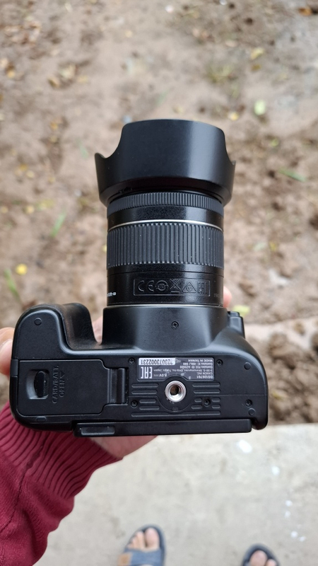 Canon 250d Sotiladi