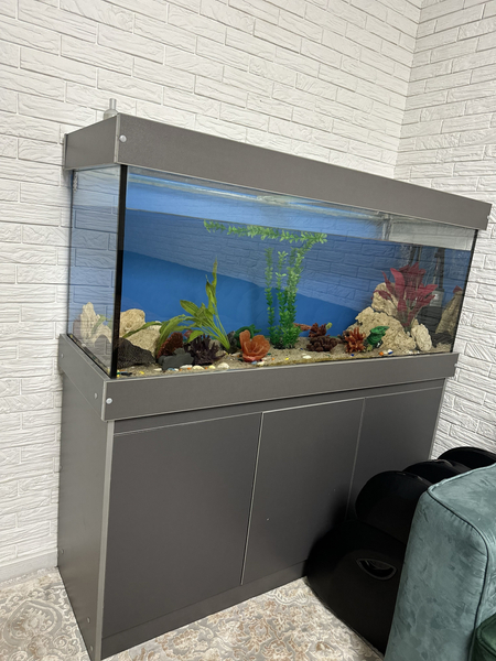 Akvarium sotiladi  filtr baliqlari bilan